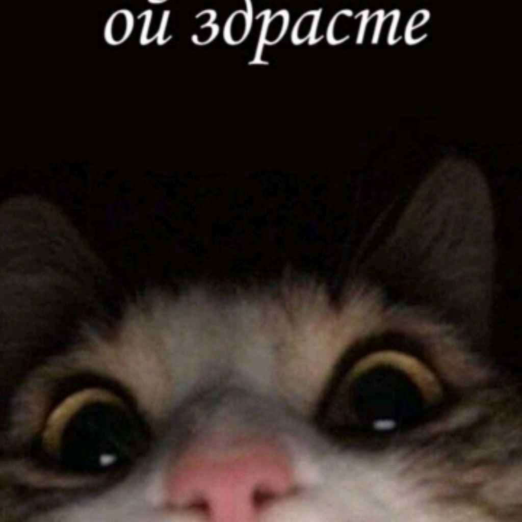 Иконка канала Никита Андреев