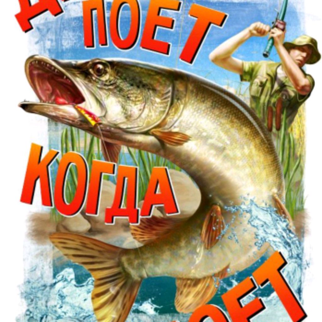 Иконка канала ДУША ПОЁТ, КОГДА КЛЮЁТ