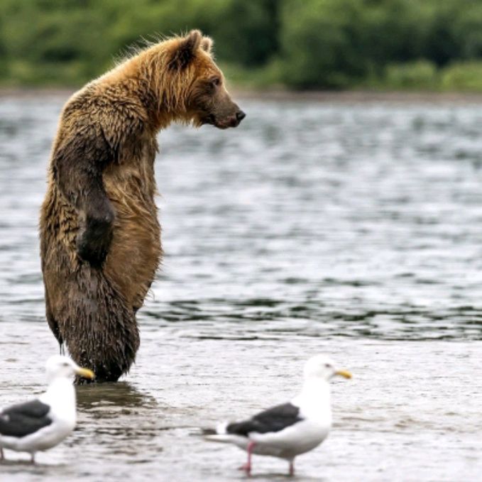 Иконка канала Мишаня Каменский