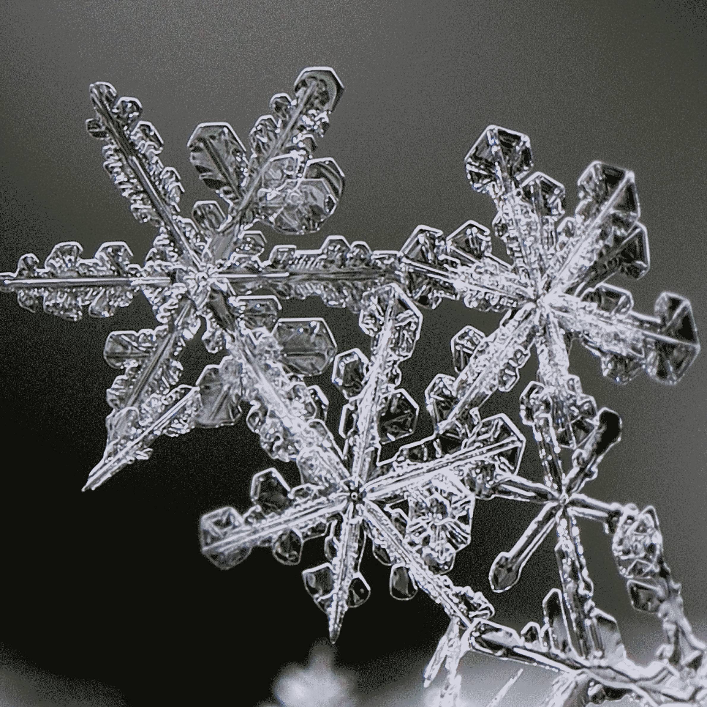 Иконка канала Игорь Фёдоров