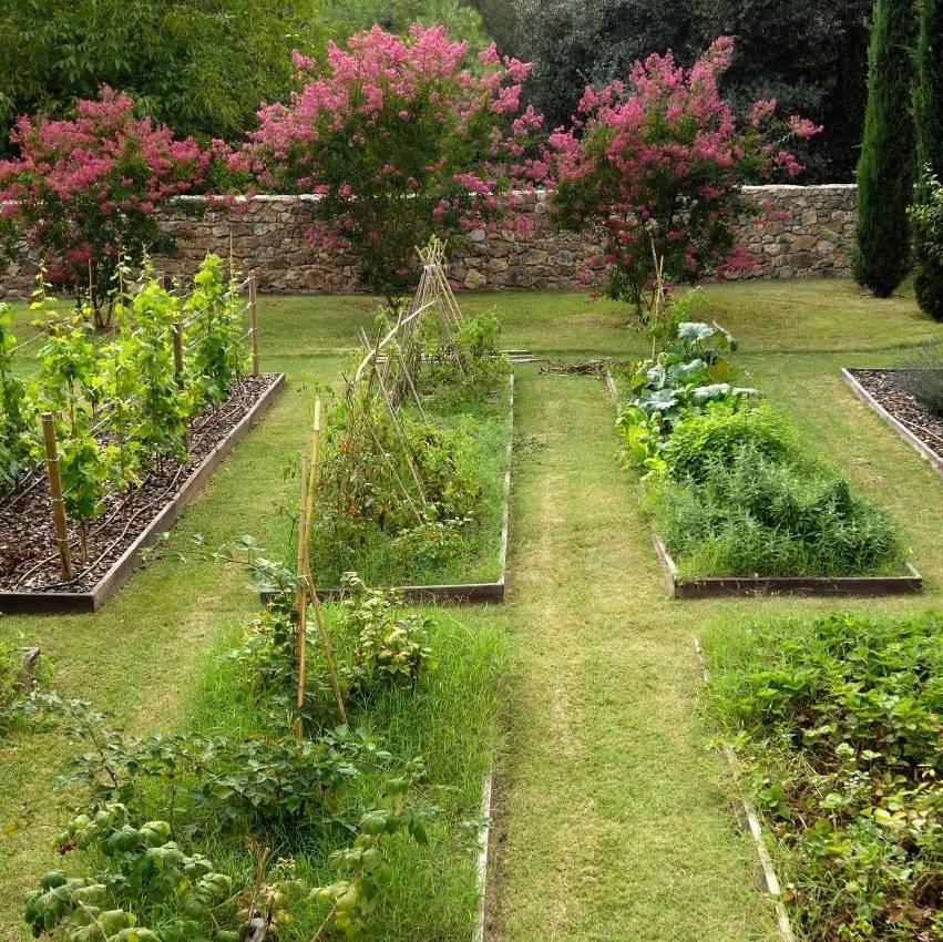 Иконка канала Сад и огород