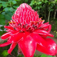 Иконка канала ir4ik Yar