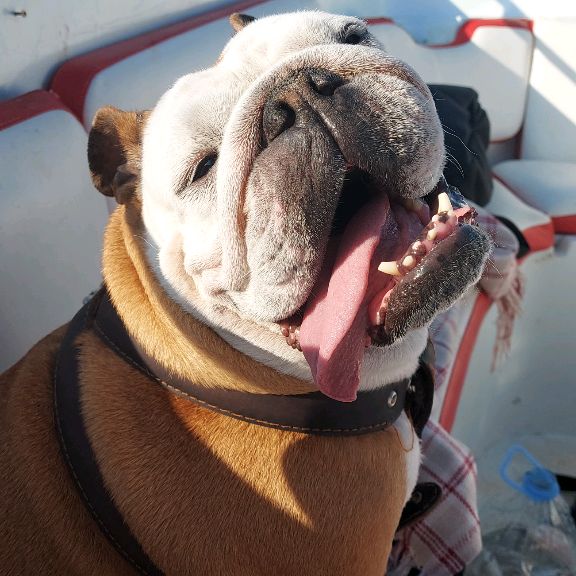 Иконка канала Евгения