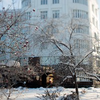 Иконка канала Дума Ханты-Мансийского автономного округа - Югры