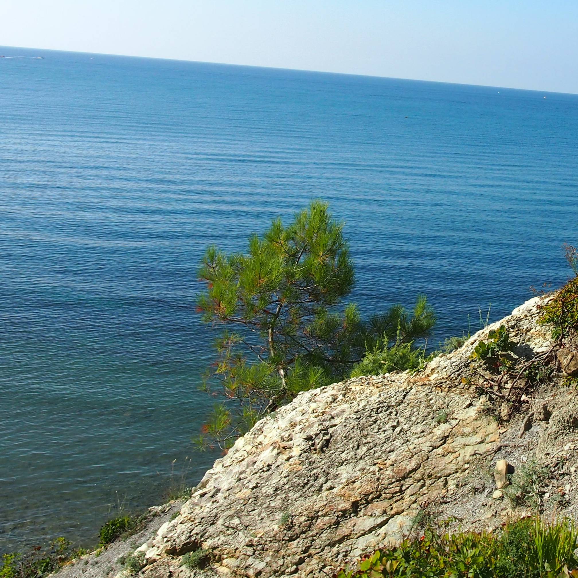 Иконка канала Анна