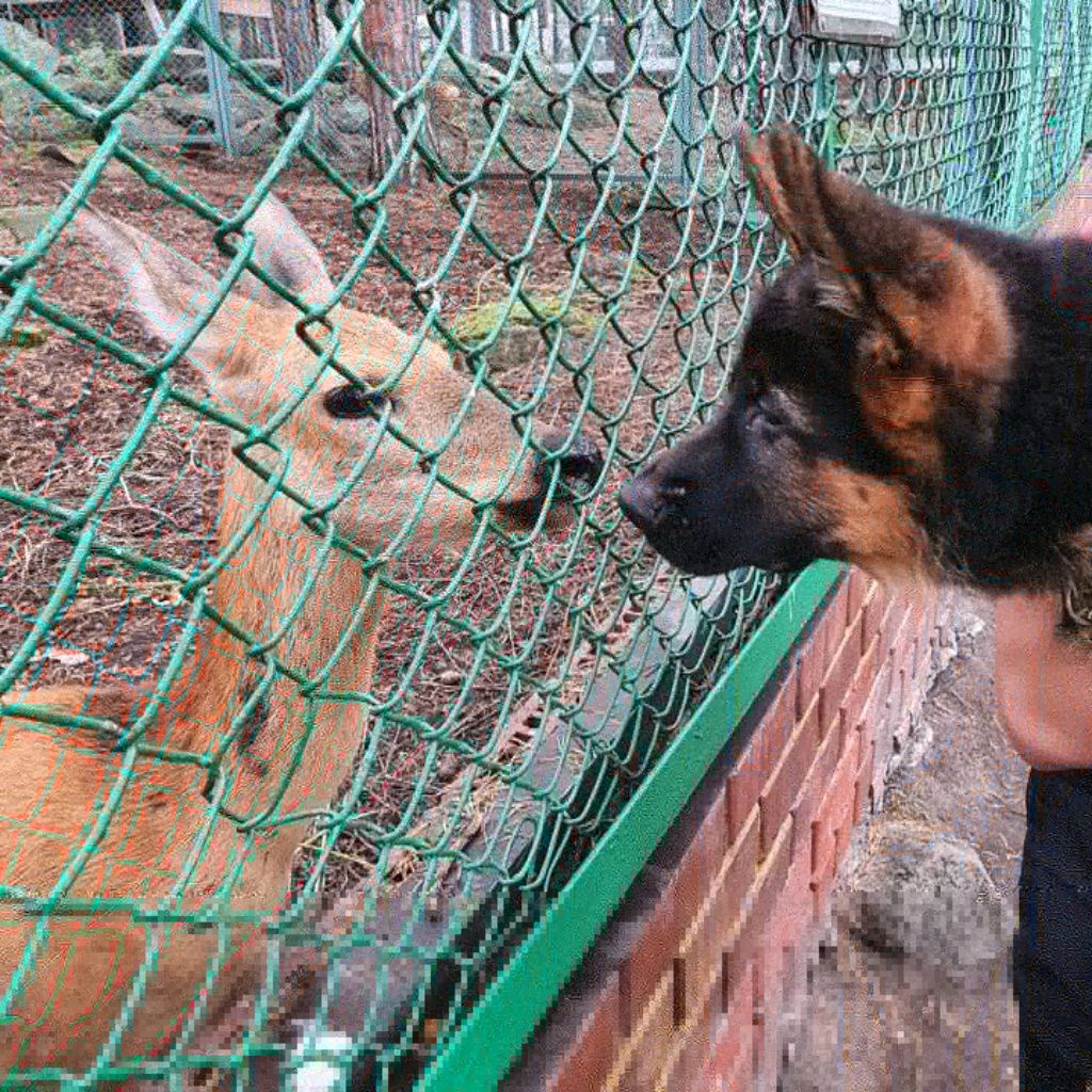 Иконка канала rutube_account_23458123