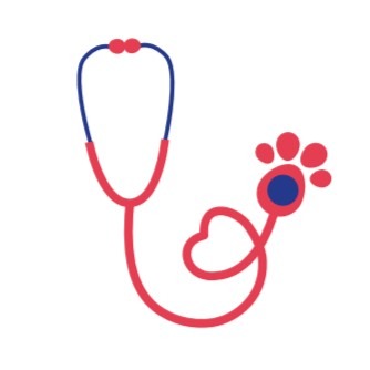 Иконка канала Динго Ветклиника на Дому