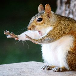 Иконка канала Ivan Durak