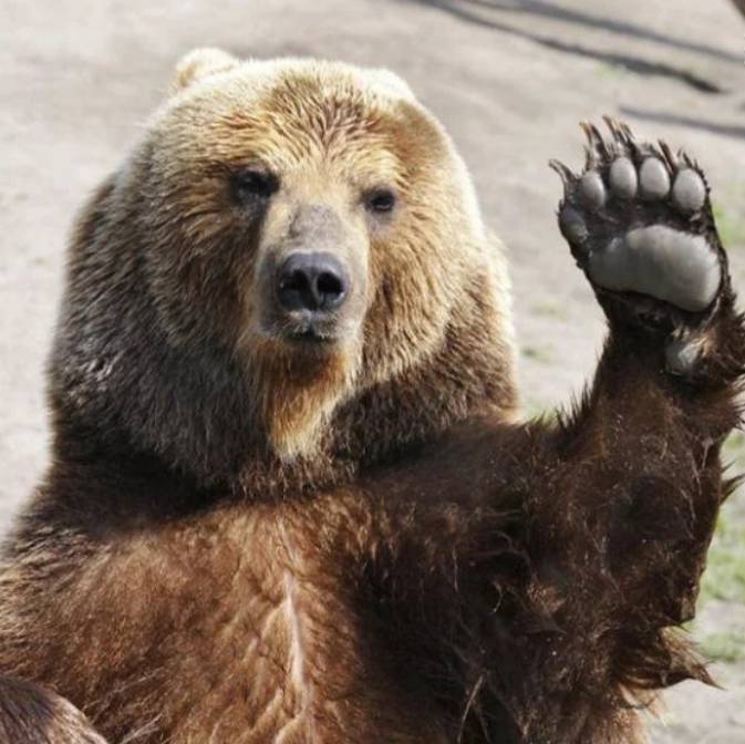 Иконка канала Марган1