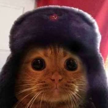 Иконка канала Comrade Cat