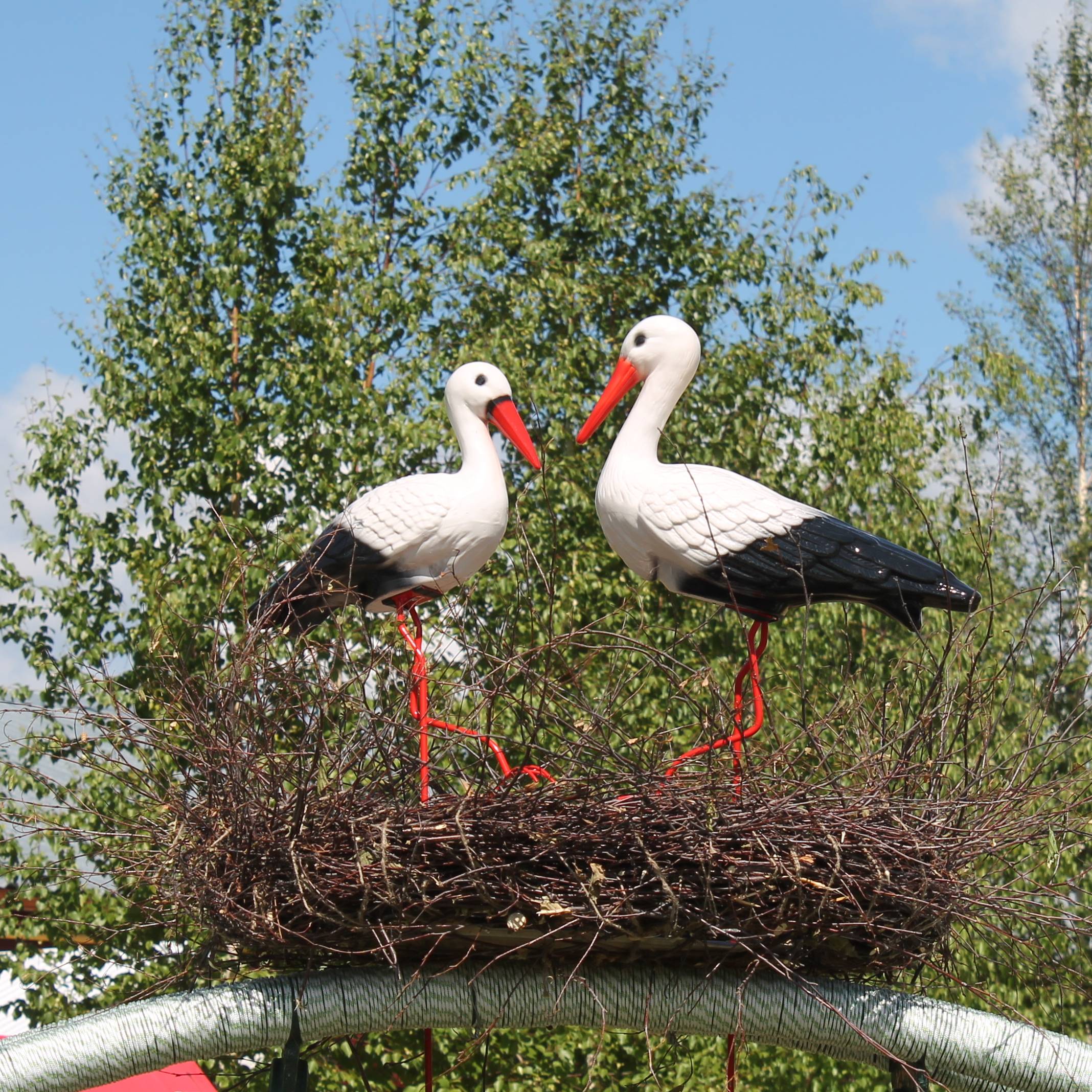 Иконка канала Радужка Приобская