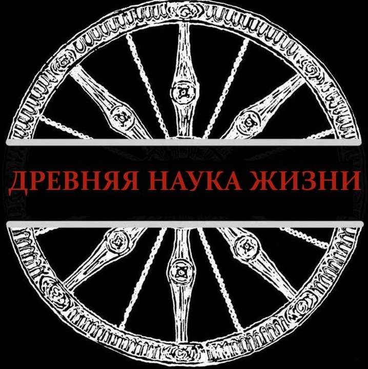 Иконка канала ДРЕВНЯЯ НАУКА ЖИЗНИ
