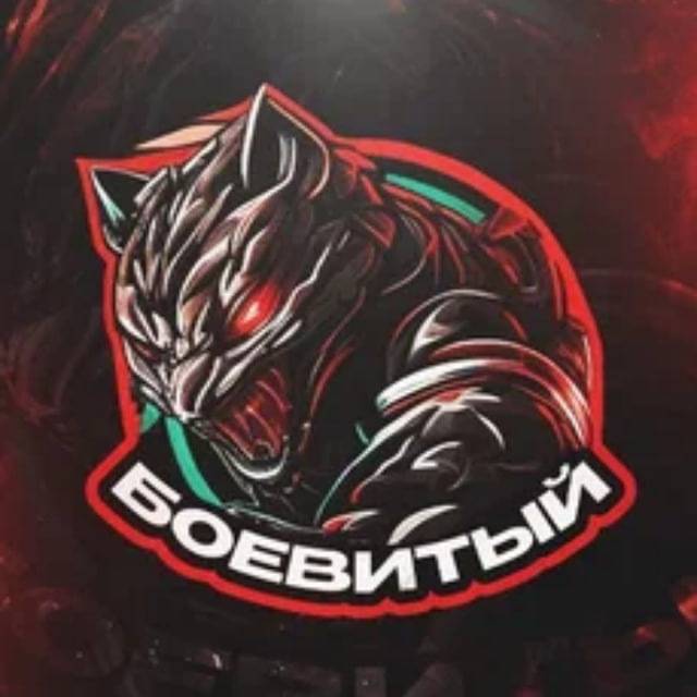 Иконка канала Boyevityy