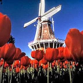 Иконка канала Голландские Семена тв