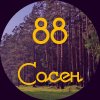 Иконка канала 88 Сосен