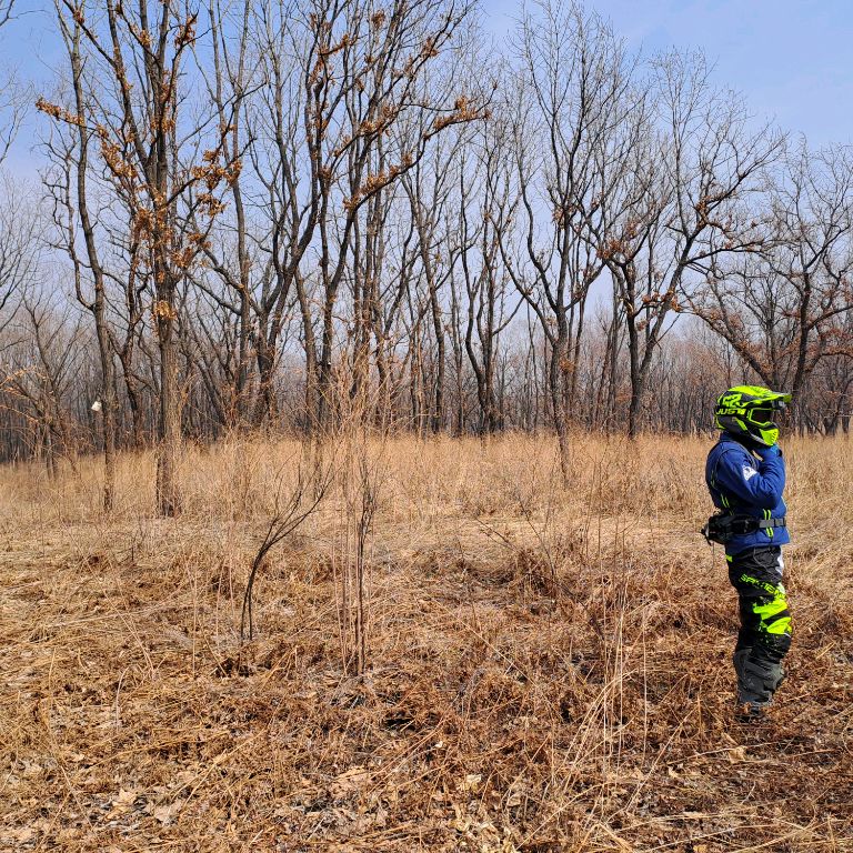 Иконка канала channel36842981