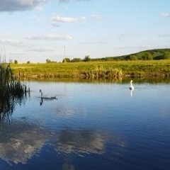 Иконка канала ПРО.ВСЁ.