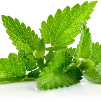 Иконка канала Herbal Health Treatment