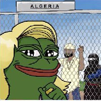 Иконка канала Noel Le pen