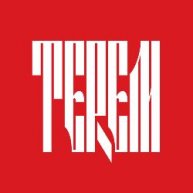 Иконка канала TEREM