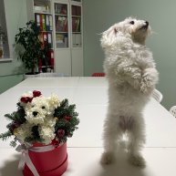 Иконка канала V&G Build House