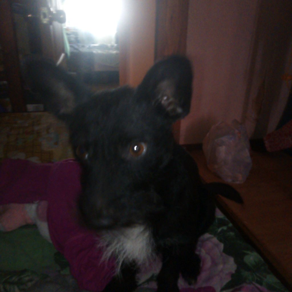 Иконка канала Настёна love♥