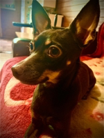 Иконка канала channel31674991