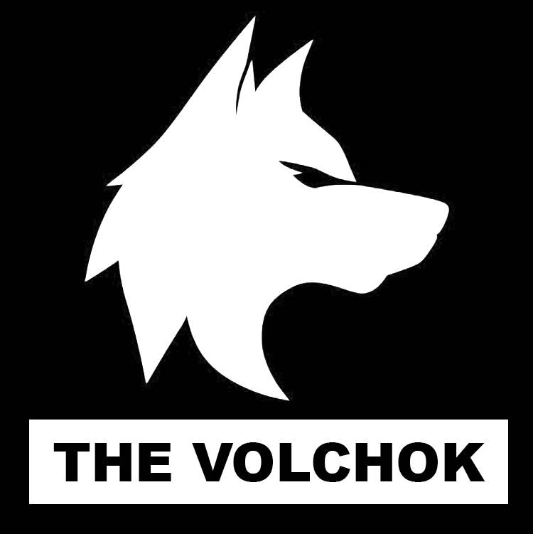 Иконка канала The VOLCHOK