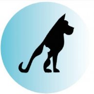 Иконка канала Самые Пушистые Истории