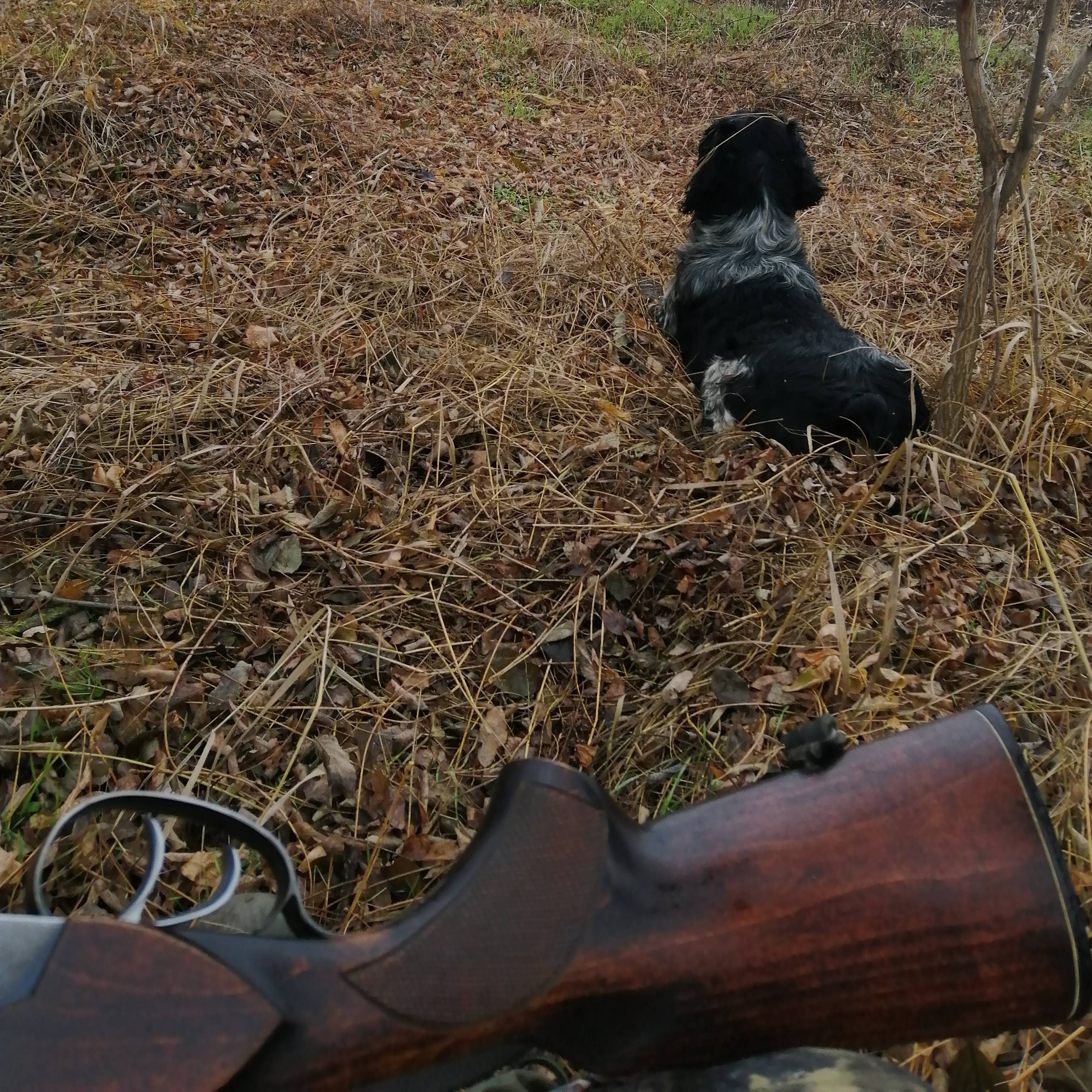 Иконка канала Ростовохота