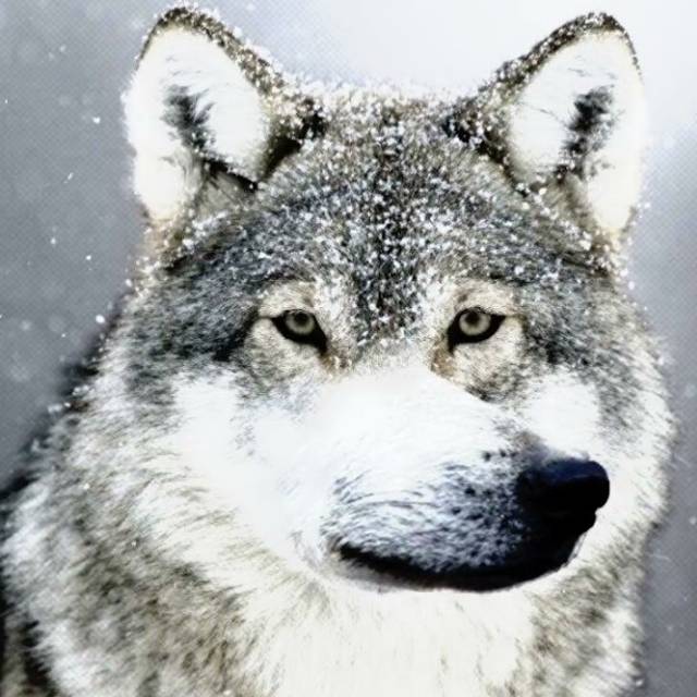 Иконка канала Для важных рофлов