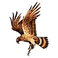 Иконка канала Литературное агентство Максима В. Глазунова. Аудио