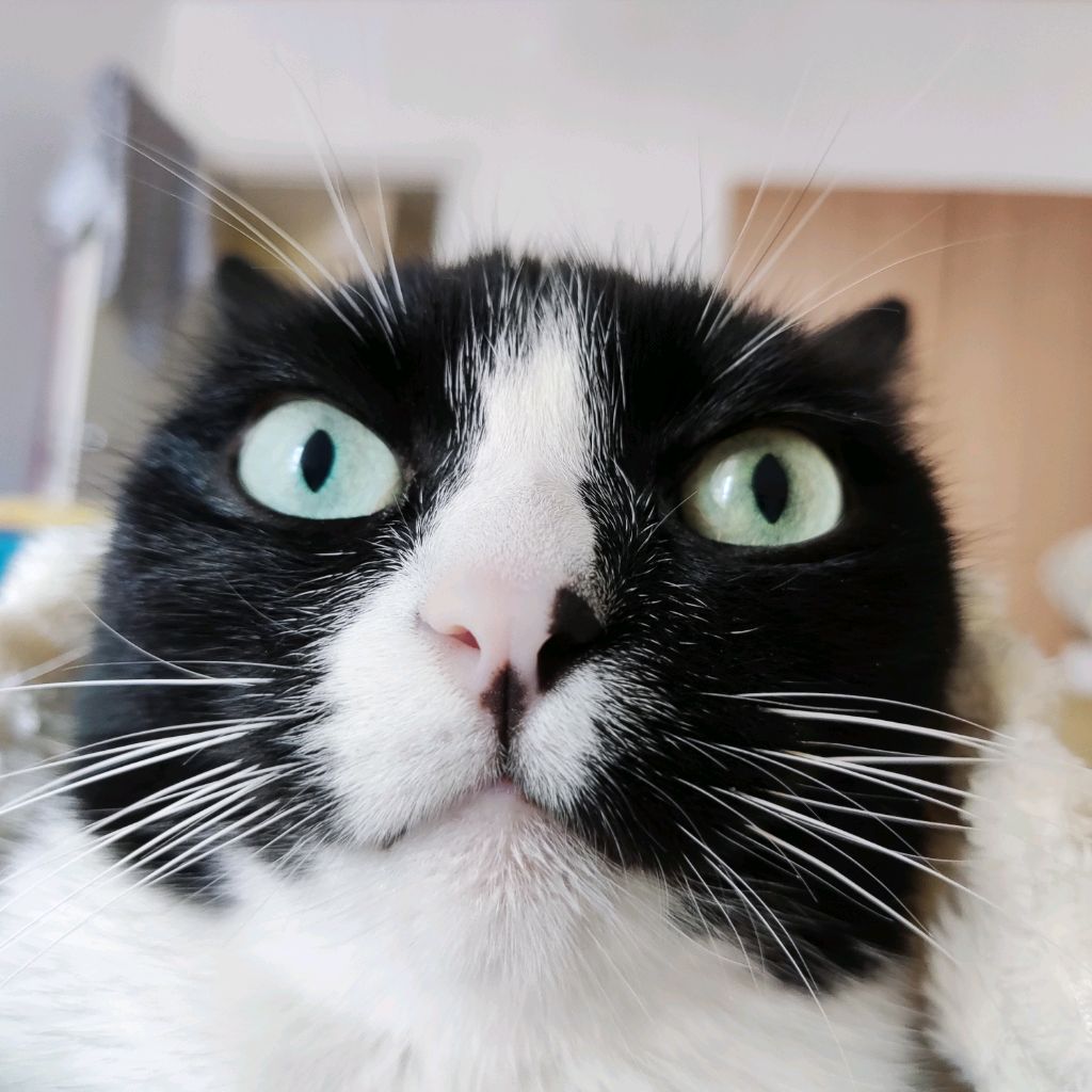 Иконка канала Rutube