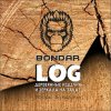 Иконка канала Bondar_log
