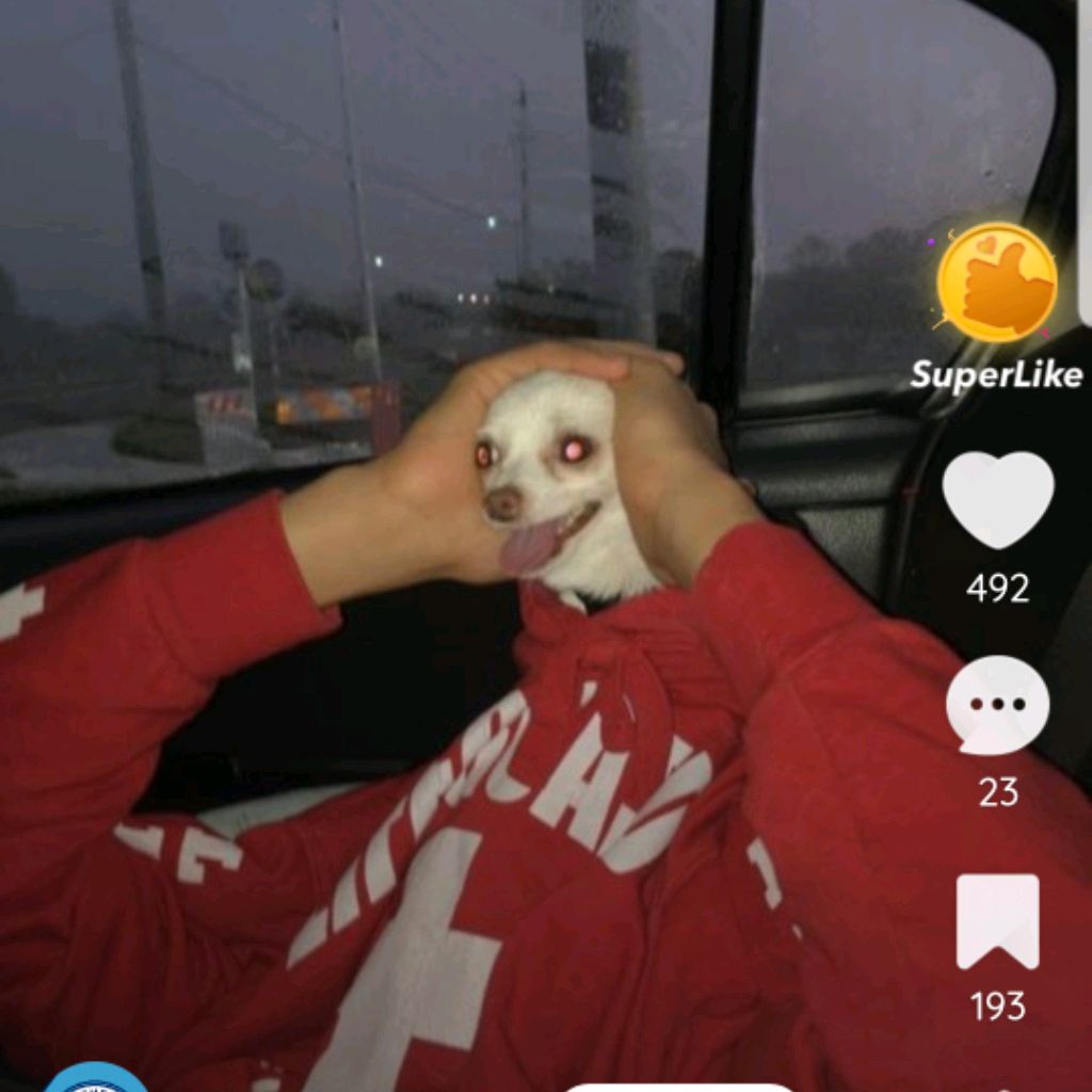 Иконка канала Tetin 1