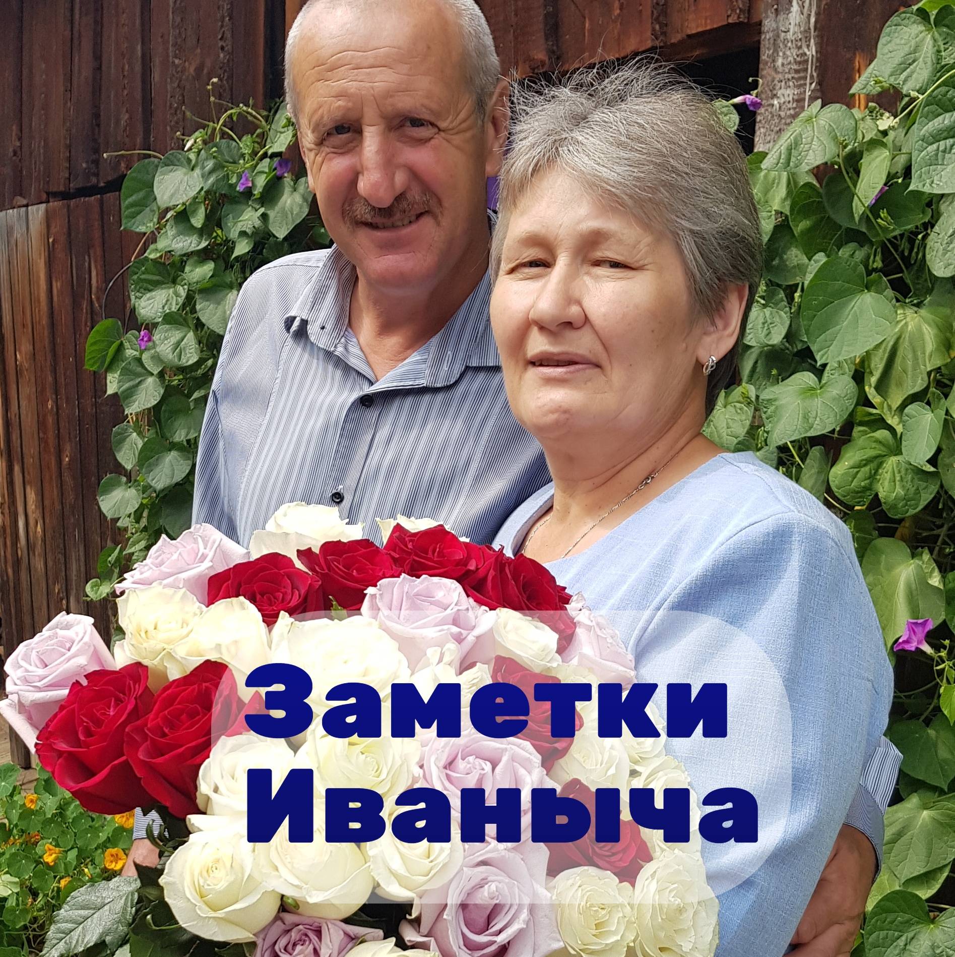 Иконка канала Заметки Иваныча