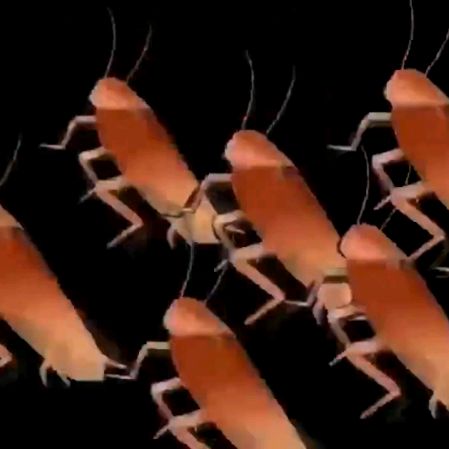 Иконка канала Танцующий таракан