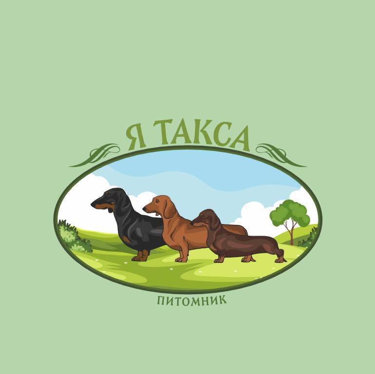 Иконка канала Я Такса | Питомник собак