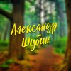 Иконка канала Александр Шубин