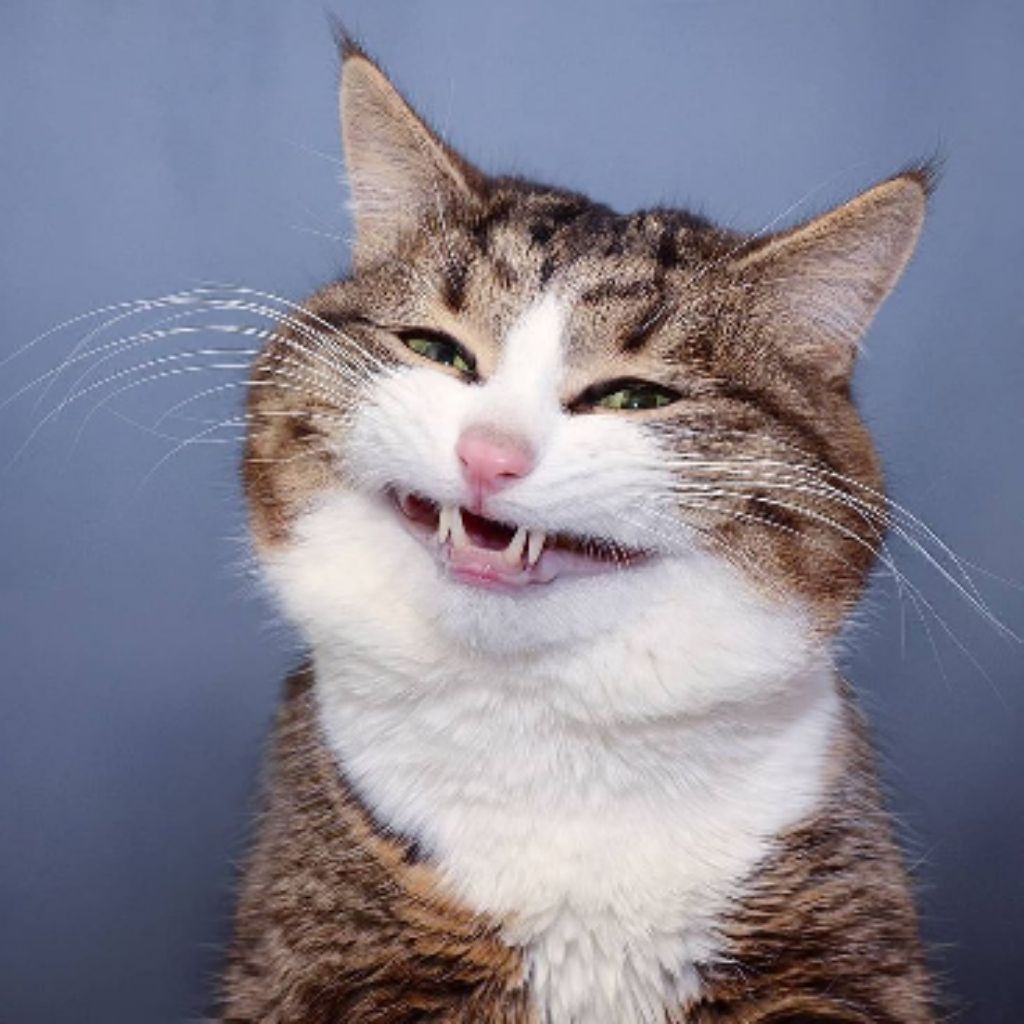 Иконка канала Kseniya