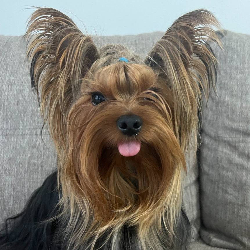 Иконка канала Знакомьтесь, Мартин!