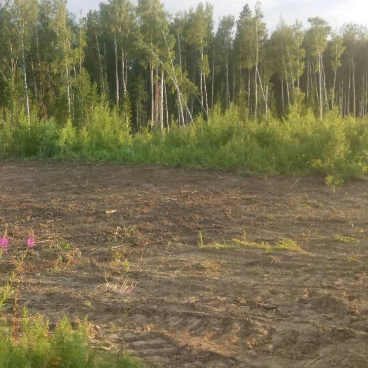 Иконка канала Стройка Дачи Своими руками