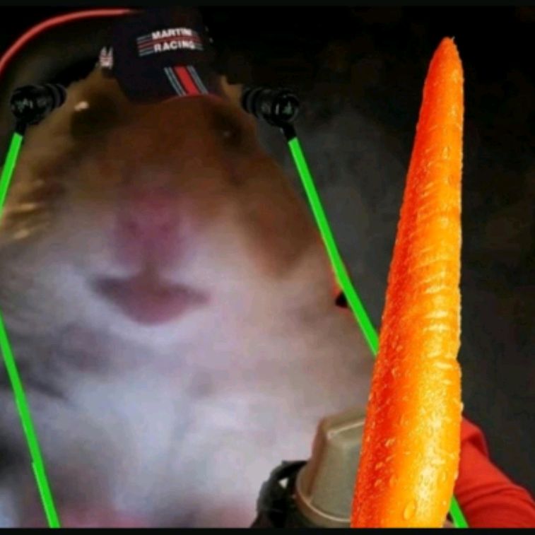 Иконка канала HAMSTER755