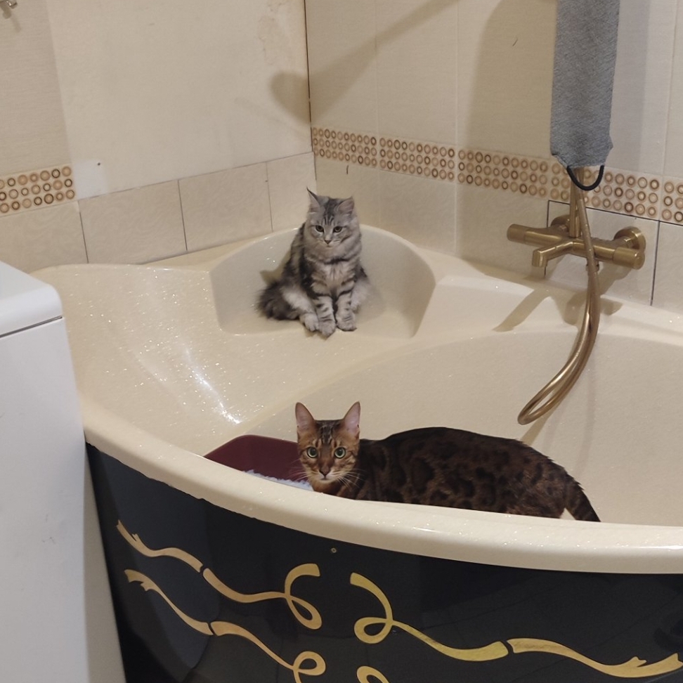 Иконка канала Молли и Тима