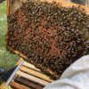 Иконка канала Выходные в деревне