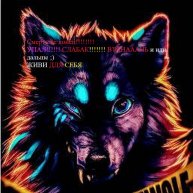 Иконка канала MaDaVi WOLK