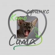 Иконка канала КотоСфинкс Сима