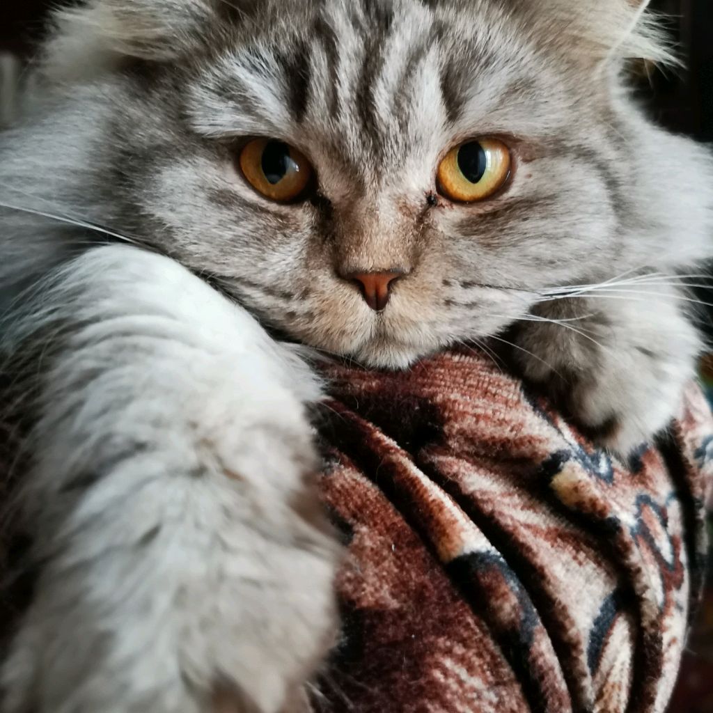 Иконка канала Мама дома