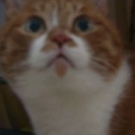 Иконка канала Одинокие души