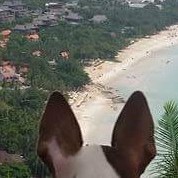 Иконка канала ron55009